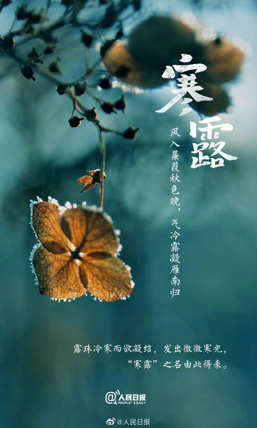 Zyh当当 的想法: 总想着准备好再开始运营账号什么的，然后… - 知乎