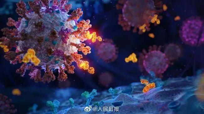 CDE老师文章｜单克隆抗体药物风险因素分析及非临床研究与评价的一般考虑 - 知乎