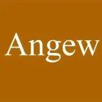 谢毅院士等Angew：Ni/C杂化纳米片上双纳米岛活化肼氧化辅助高效制氢 - 知乎