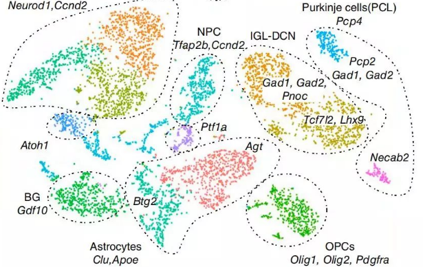单细胞测序系统：BD Rhapsody，10X Genomics - 知乎