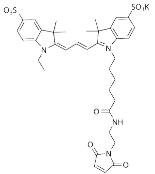 CAS：1258496-90-0，Sulfo-Cy3 Maleimide，水溶 Cy3-Maleimide - 知乎