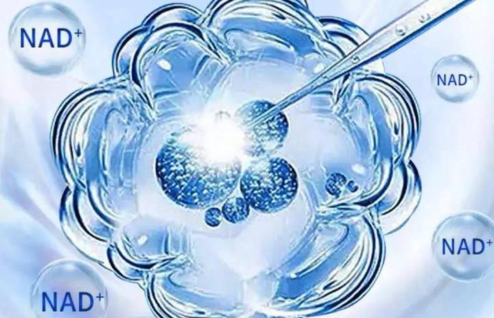 美国进口NM+NNM+N国内生产企业NM+N9600招商 - 知乎