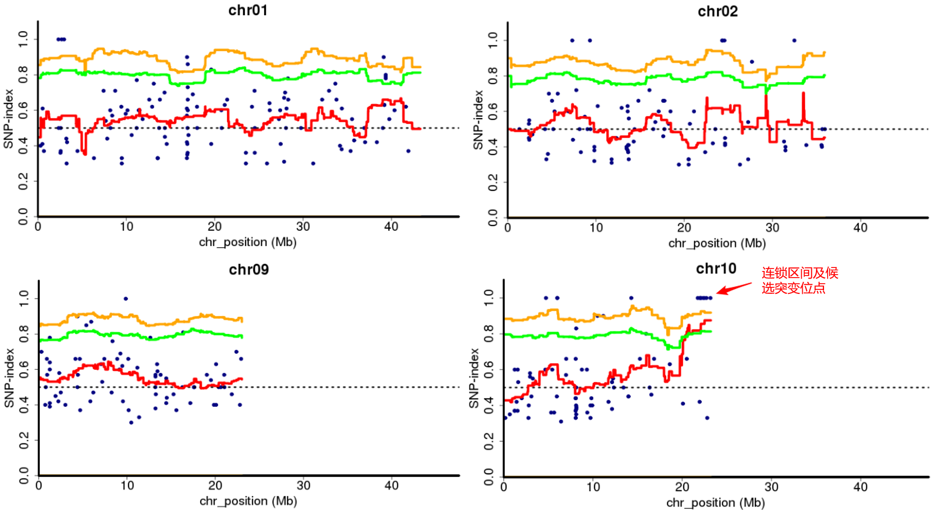使用MutMap快速定位突变基因：实战篇 - 知乎