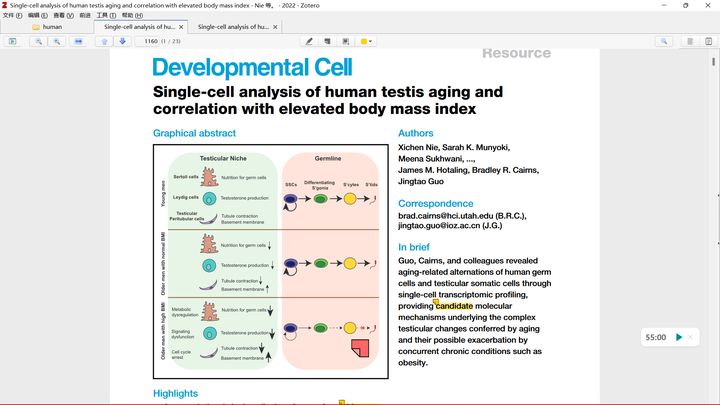 03-人类睾丸衰老的单细胞分析及其与升高BMI指数的相关性 - 知乎