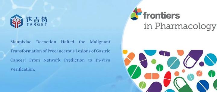 北京中医药大学发现慢痞消汤阻断胃癌前病变的作用机制 - 知乎