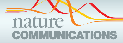 文献阅读：单细胞测序+OS+2020+nature communication（一） - 知乎