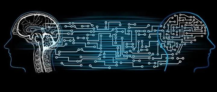 ciftiTools | 用于读取、写入、可视化和操作CIFTI文件的R包 - 知乎
