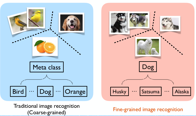 [CV - fine-grained image recognition]细粒度图像识别综述（上） - 知乎