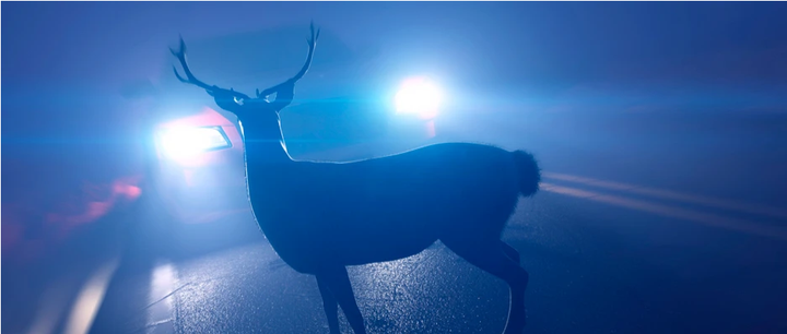 Fight-or-flight chemical helps our brains to learn from unexpected ...